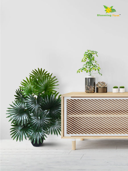 Artificial Fan Palm Plant | Patterned Green Leaves | 88 cm | 18 Leaves