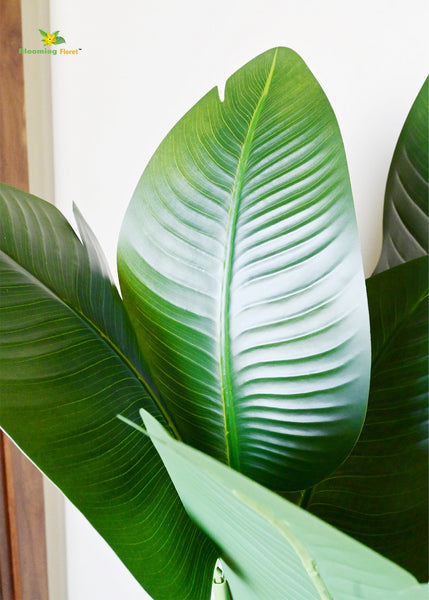 Realistic Artificial Banana Leaf Faux Plant – 180 cm, with Basic Plant ...