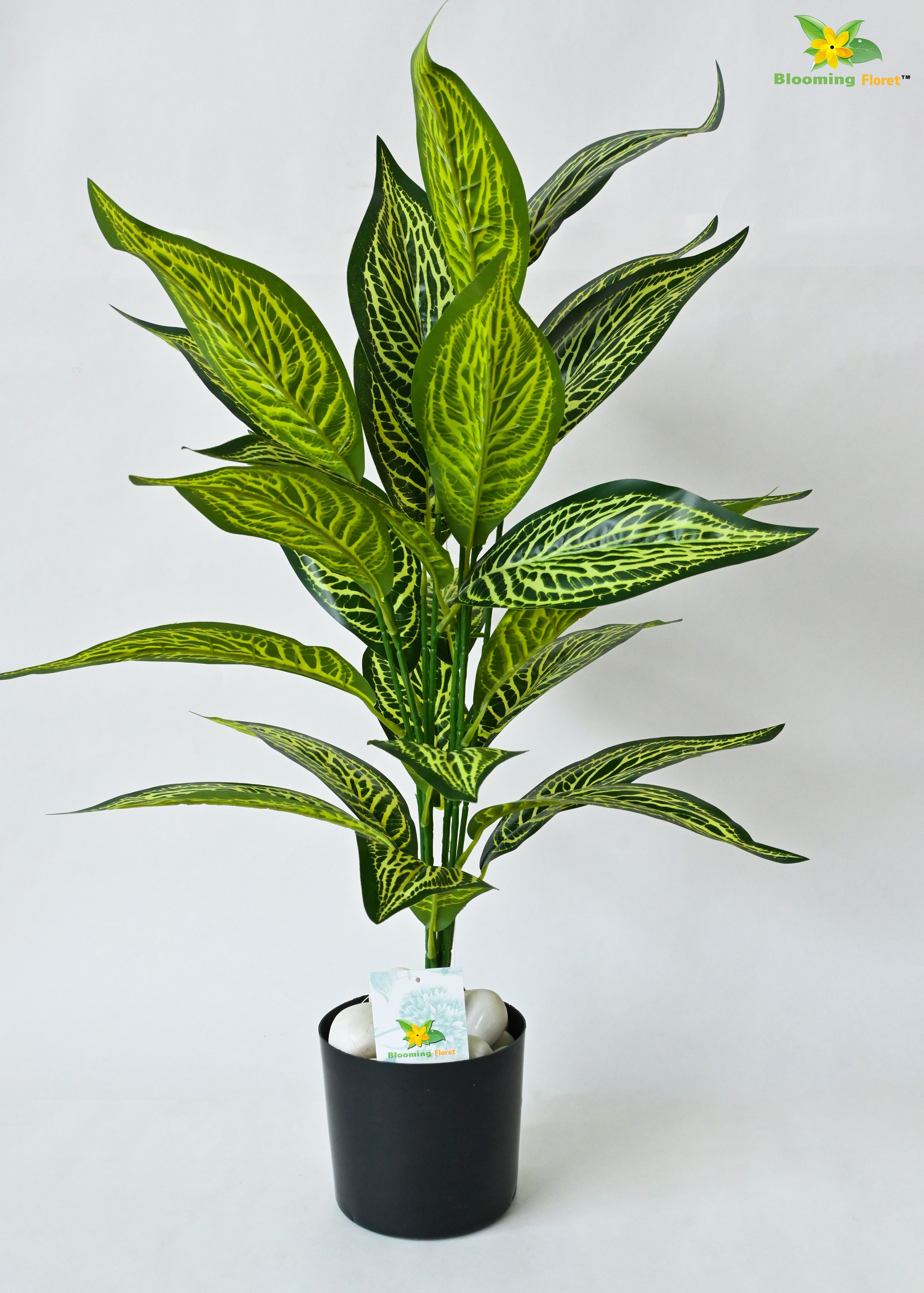 Artificial Ivory White Croton Plant having 26 Leaves with Pot | 71.1 c ...
